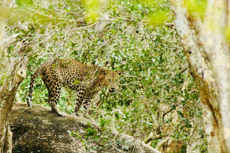 Tours | Alpha Vacations